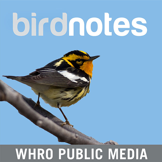 WHRO Radio & TV Programs, Podcasts, Episodes